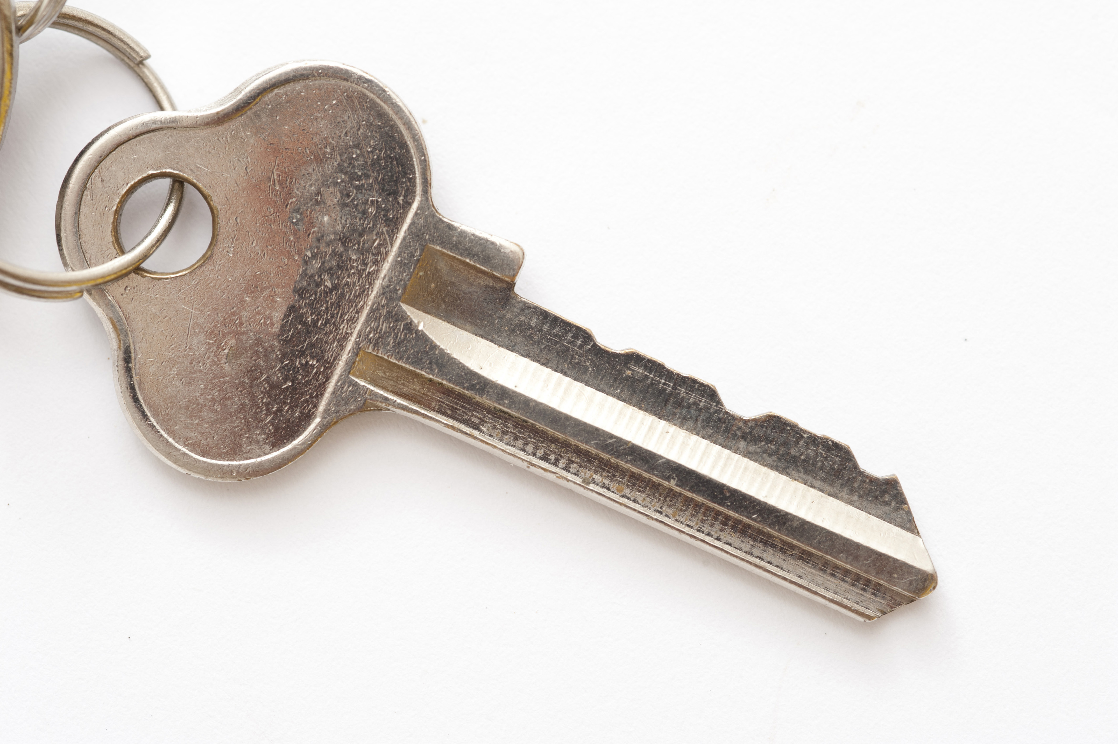 Free Image Of Silver House Key On White Freebie Photography Free Image Of Silver House Key On White Freebie Photography