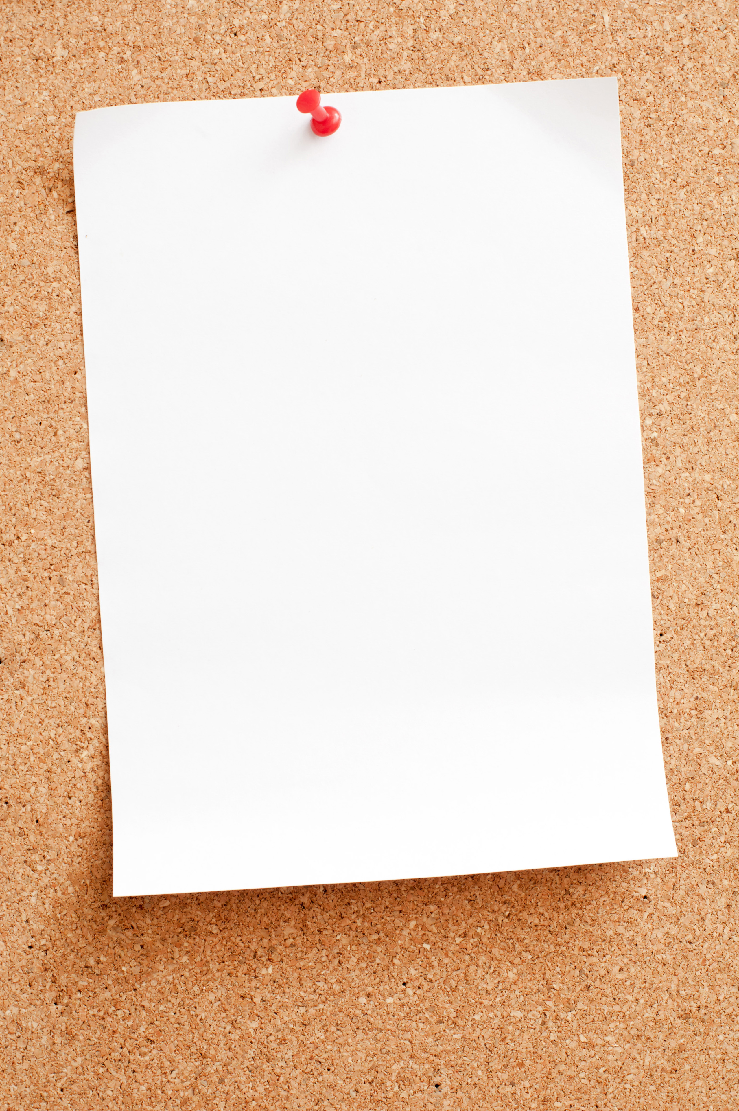 Blank Paper To Type On Blank White Paper ClipArt Best Cooper